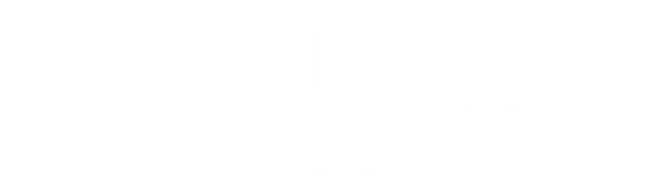 Evinrude & Johnson Raker H.O. Propeller