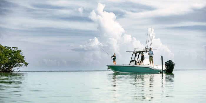 Mercury Revolution 4 Propellers 20% Off